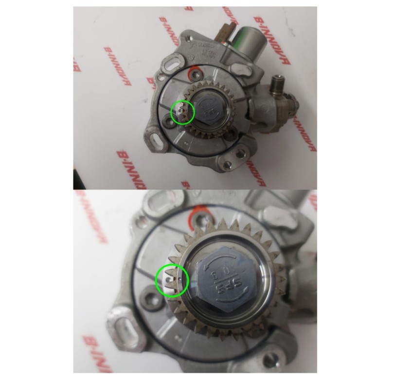 Faza Delphi Pumpe 2.0HDI Euro6